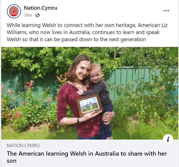 Media – Liz Williams